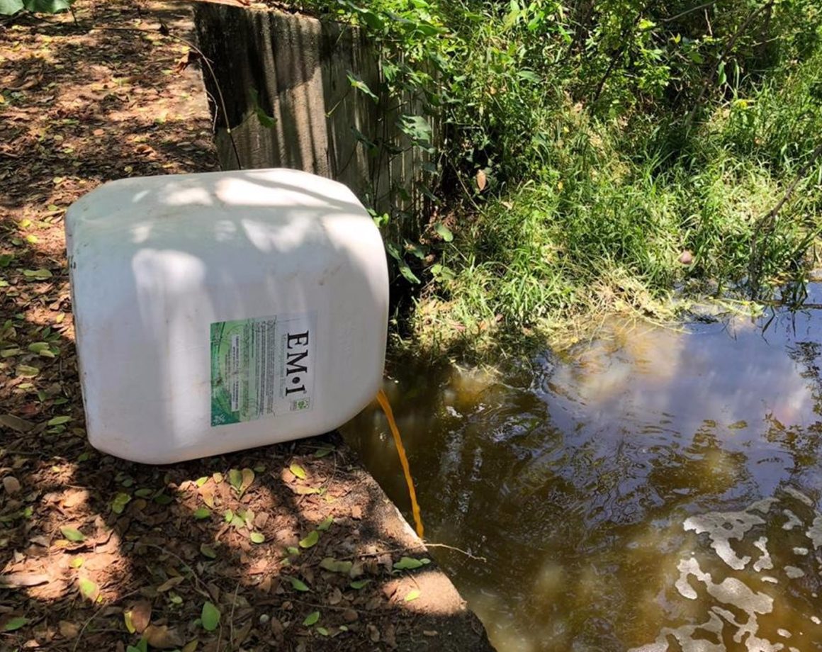 BioAgro – Tecnologia EM